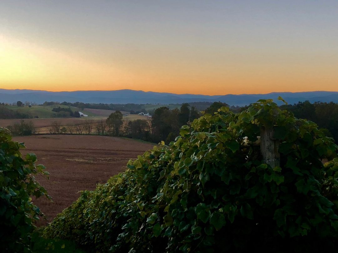 An Adventurous Way to Camp Overnight In An RV - Outdoor More to Explore